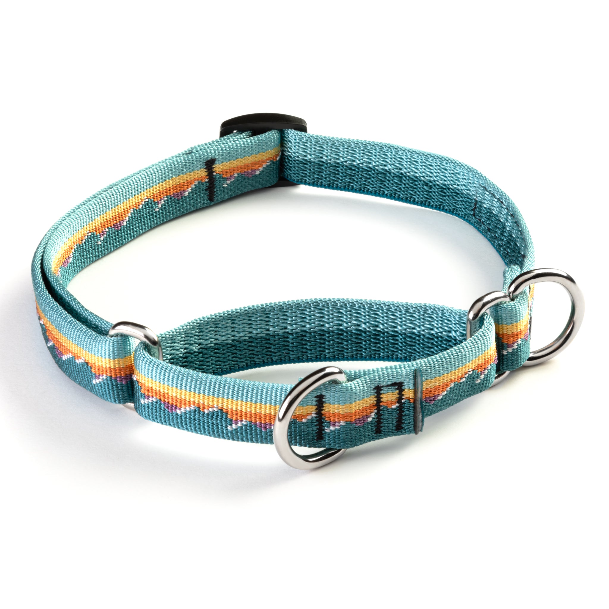 Classic Martingale Training Collar 1'' - Luwello