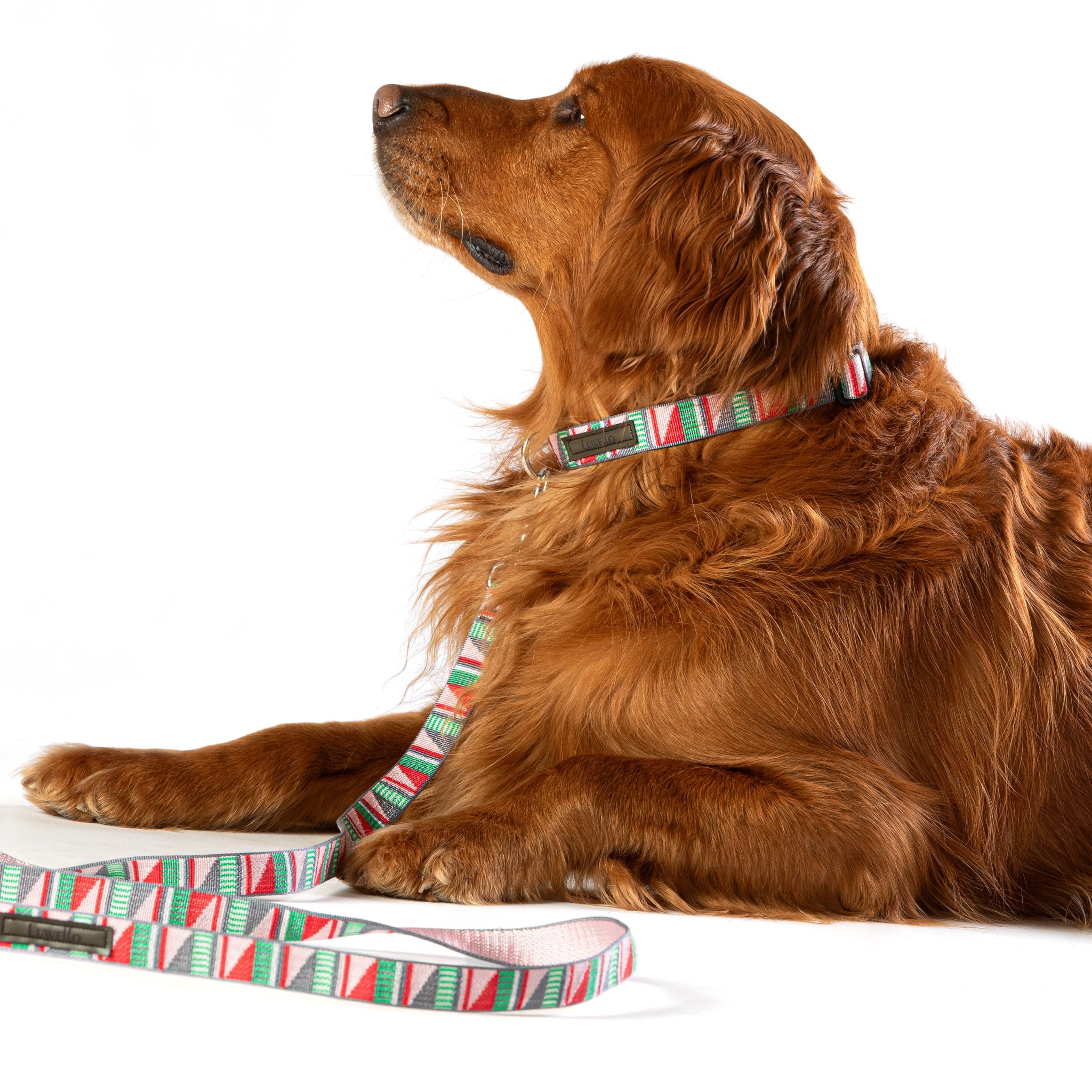 Products Archive - Luwello